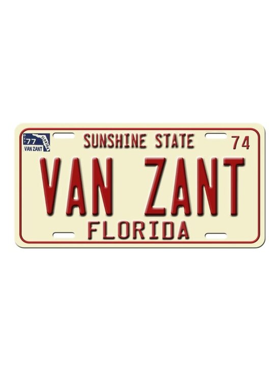 Accents | Lynyrd Skynyrd Ronnie Van Zant Florida Aluminum Vanity ...